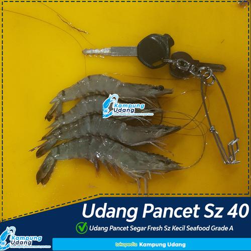 Jual READY Udang Pancet Sz 40 Kecil/Udang Tiger Seafood/Udang Tambak ...