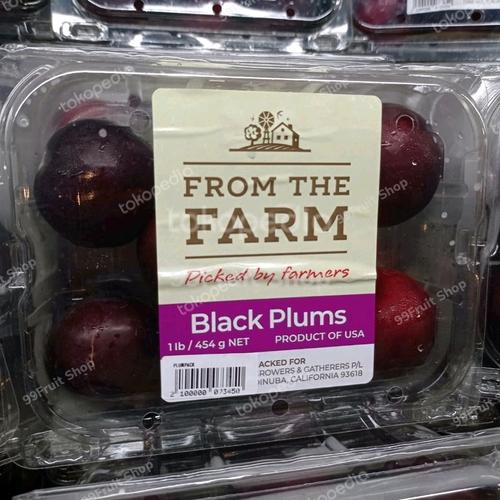 Jual Fruits Black plum | Buah plum hitam / pack 454 gram - Jakarta ...
