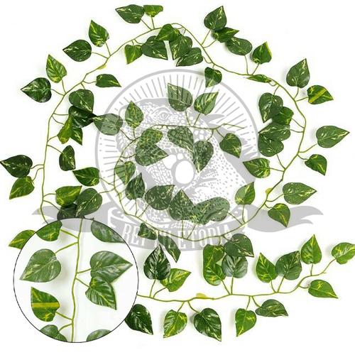 Jual Daun Rambat Ulur - Dekorasi Kandang - Jungle Plant - bukan ...