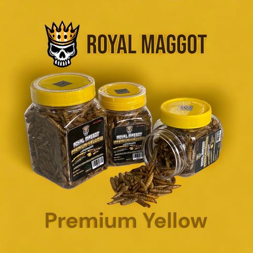 Jual Premium Yellow Maggot / Royal Maggot Premium Yellow - Kota Depok ...