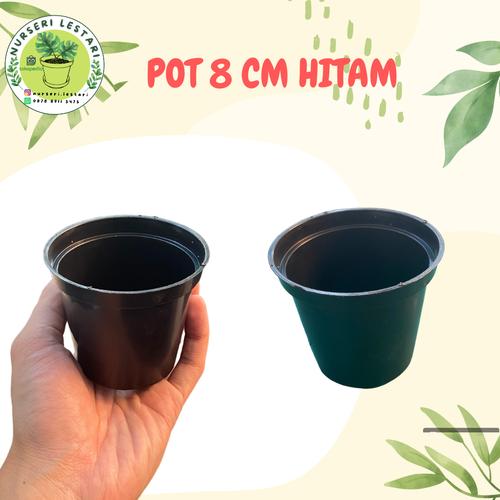 Jual Pot Plastik Kecil 8cm Hitam Murah - Jakarta Selatan - Nurseri ...