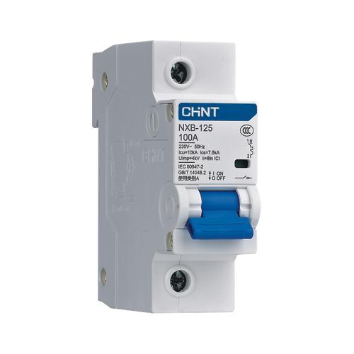 Jual MCB Chint NXB-125 Din-Rail MCCB 1P 100A 10kA - Jakarta Barat ...