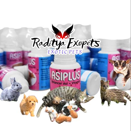 Jual ASI Booster Vitamin Pelancar Asi Kucing Hamster Sugar Glider ...