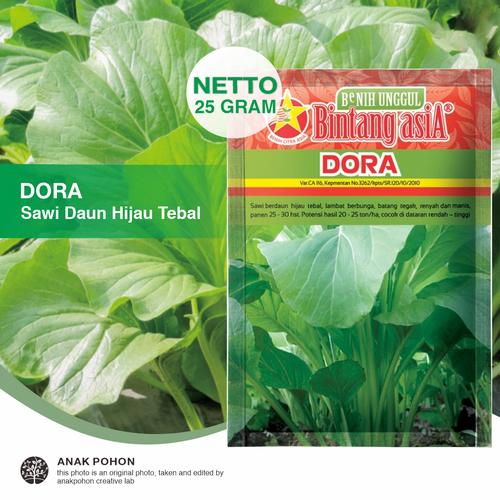 Jual (1 PACK) Benih Sawi DORA Sawi Daun Hijau Tebal Caisim Manis Seeds ...