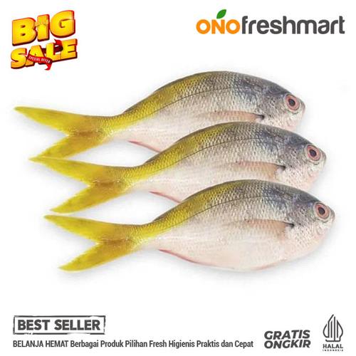 Jual Ikan Ekor Kuning/Ikan Ekor Kuning Laut/Ikan Laut Segar/Seafood ...