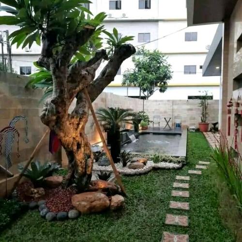 Jual contoh taman .Kamboja fosil tinggi4-5mtr - Jakarta Selatan - al ...