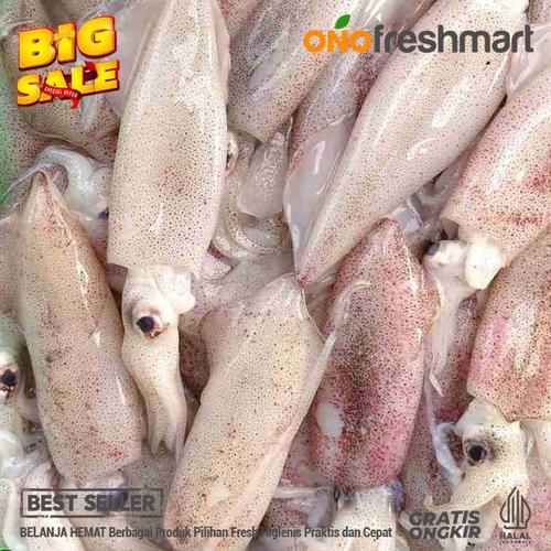 Jual Cumi-Cumi Segar/Cumi Laut Segar/Cumi Sotong/Sotong Laut/Fresh ...