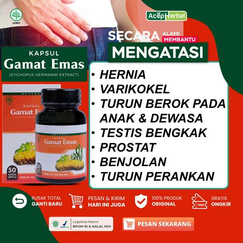 Jual Obat Varikokel - Hernia Kapsul Gamat Emas Isi 50 Kapsul ASLI ...