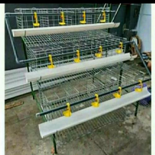 Jual kandang ayam petelur kandang ayam set petelur galvanis murah - Kota Surabaya - abc' | Tokopedia