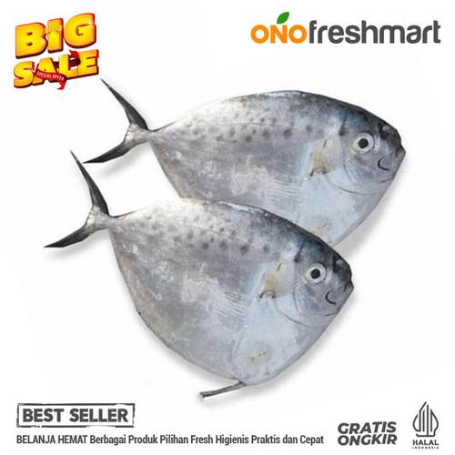 Jual Ikan Laut Kantong Semar Segar/Ikan Etem Segar/Moonfish/Seafood ...