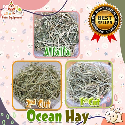 Jual TIMOTHY HAY OCEAN HAY 1kg pakan kelinci guinea pig/rabbit food ...