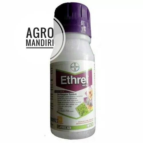 Jual Ethrel 480SL 100 ml ZPT dan Pematang Pemasak Buah Pisang, Naga ...