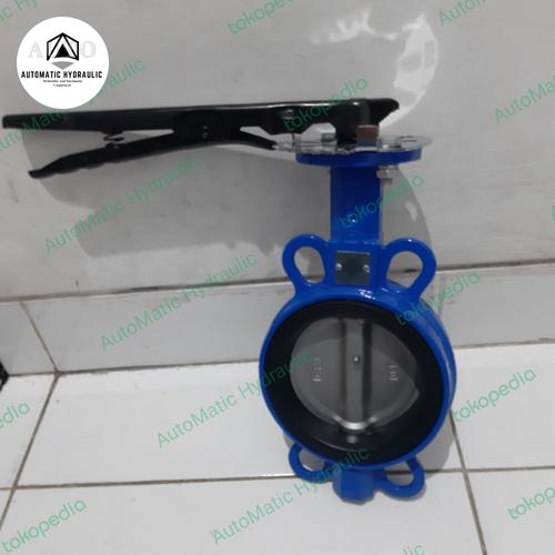 Jual BUTTERFLY VALVE CAST IRON 4 INCH DN 100 - Jakarta Barat ...