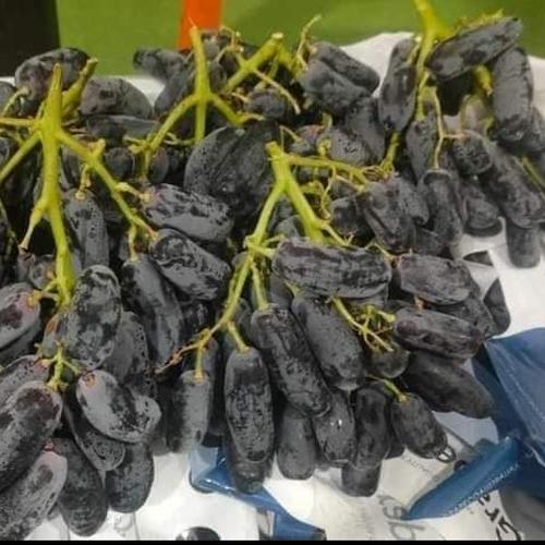 Jual buah anggur moondrop 1 kg / grape seedless /anggur non biji ...