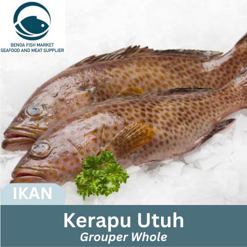 Jual ikan kerapu / grouper fish - 200gr - Kota Denpasar - Benoa Fish ...