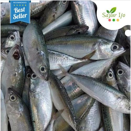 Promo Ikan Kembung Banjar 0.9 - 1 KG Fresh Fish Seafood Laut Daging ...