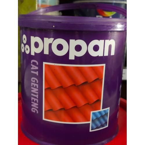 Jual Cat Genteng Propan Mix-Warna Abu-Abu Kemasan 4Kg/20Kg - NT 800, 4 ...