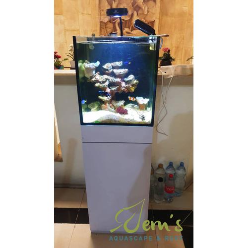 Jual Akuarium Laut / Reef Tank Full Set 40x40x45cm - Jakarta Barat ...