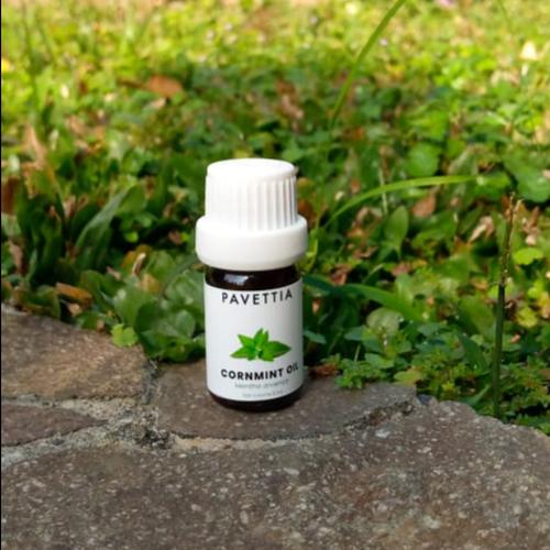 Jual 5 ml sampel - cornmint oil (Mentha arvensis) - minyak corn mint ...