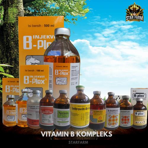 Jual Vitamin B kompleks untuk unggas, sapi, kuda, domba, anjing, kucing ...