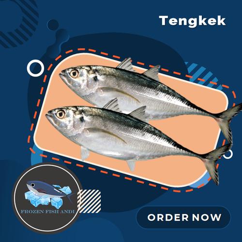 Jual ikan tengkek segar 1kg - Jakarta Utara - frozen fish andi | Tokopedia