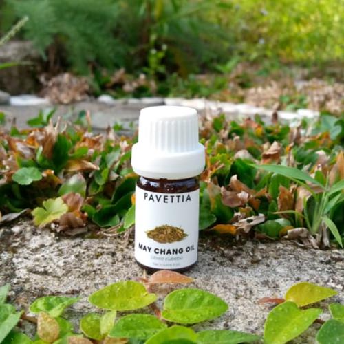 Jual 5 ml sampel - minyak kilemo / may chang oil (Litsea cubeba) - Kab ...
