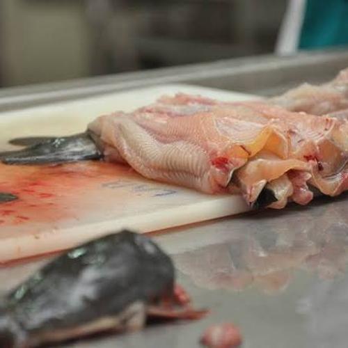 Jual Fillet ikan lele fresh segar fillet dadakan boneless tanpa tulang ...