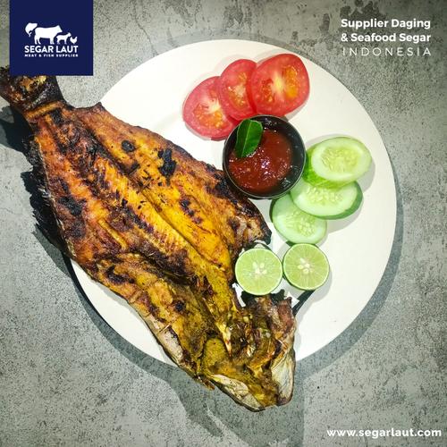 Jual Ikan Patin Fillet Bumbu Bakar | Siap Bakar / Masak - Jakarta Barat ...