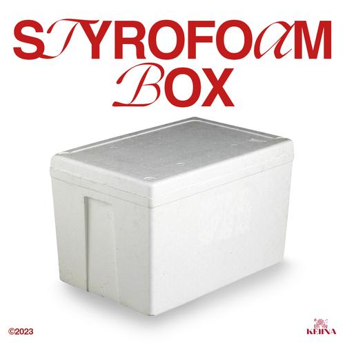 Jual Packing Styrofoam Box Kotak Gabus Sterofoam Extra Additional ...