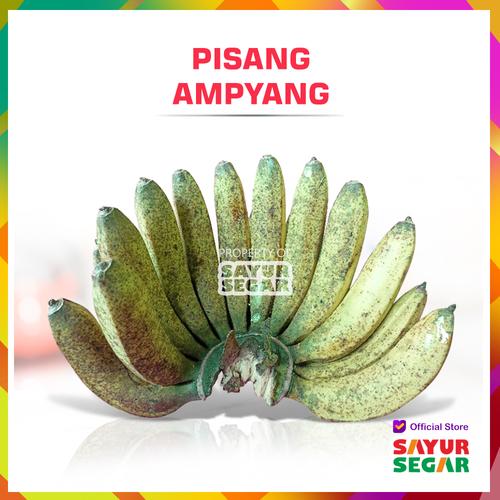 Jual Pisang Ampyang / Pisang Angleng [1 Sisir] Fresh - Pisang Siem ...