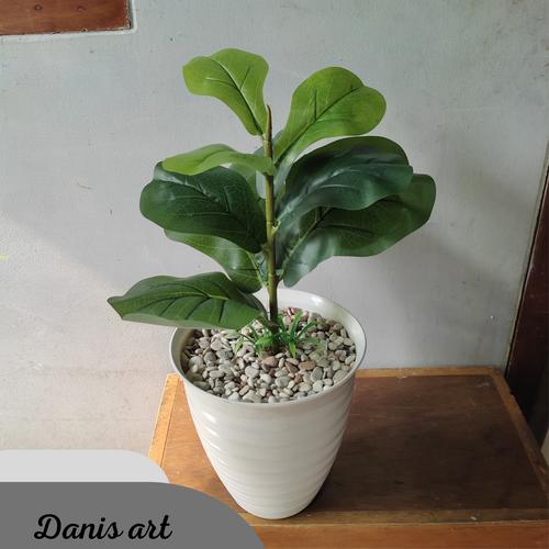 Jual Pohon ketapang palsu/ ketapang plastik/ pohon palsu - Kota ...