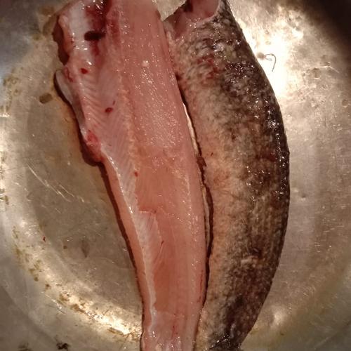 Jual ikan gabus fillet fresh - Jakarta Barat - samudrapasar | Tokopedia