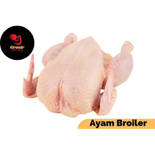 Jual Ayam Broiler 1kg - Jakarta Utara - Grosir Ayam Segar Jakarta Utara ...