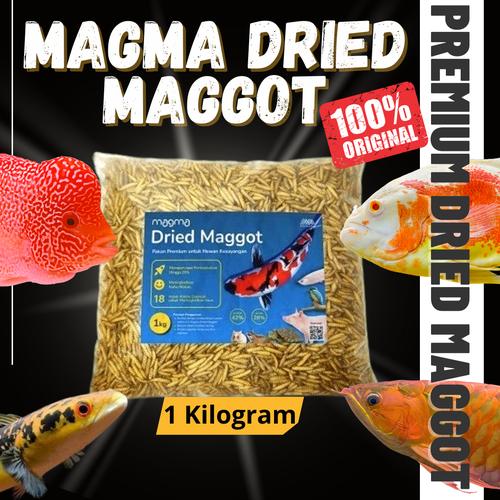 Jual Maggot Kering Premium Magma 1kg - Magma Dried Maggot Grosir ...