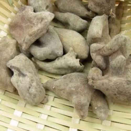 Jual 10 G GR GRAM WU BEI ZI 五倍子 RHUS CHINENSIS CHINESE GALL - Jakarta ...