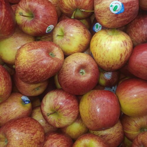 Jual APEL ROYAL GALA PER 1 KG SEGAR PER 1 KG FRESH DENPASAR BALI - Kota ...