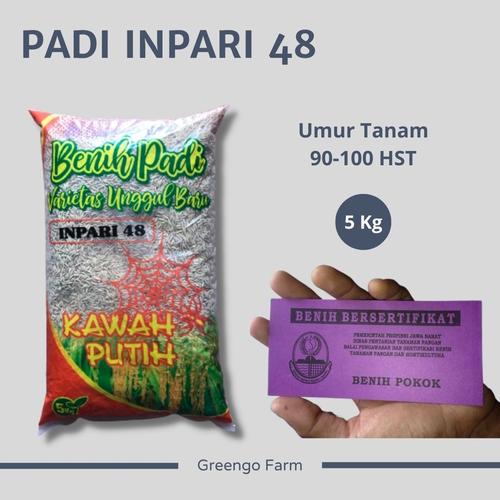 Jual Benih Padi Inpari 48 tahan blast Kemasan 5Kg Label Ungu - Kawah ...