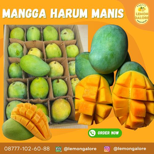 Jual BUAH MANGGA HARUM MANIS 1 DUS / FRESH MANGO KUALITAS PREMIUM ISI ...