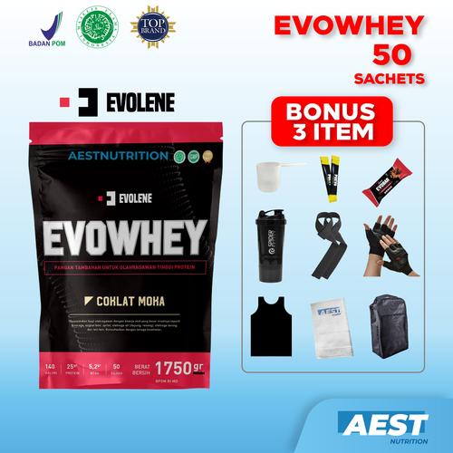 Jual Evolene Evowhey 50 Sachet Susu Evo Whey Protein - Choco Hazelnut ...