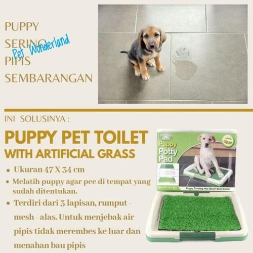 Jual Promo Puppy Potty Training Pad Tray - Tatakan Poo Pee + Rumput ...