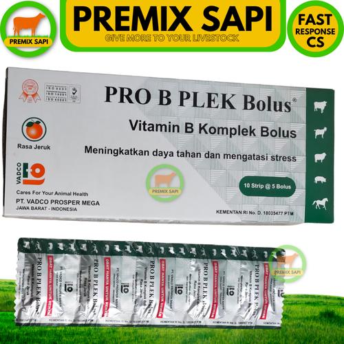 Jual PRO B PLEK BOLUS 1 DUS (50 BOLUS) - Vitamin B complex Hewan Sapi ...