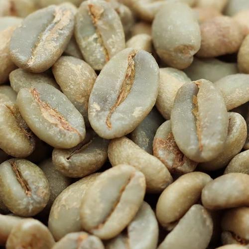Jual Ethiopia Sidamo Geisha G3 Green Beans - Jakarta Barat - ENTOOLISS ...