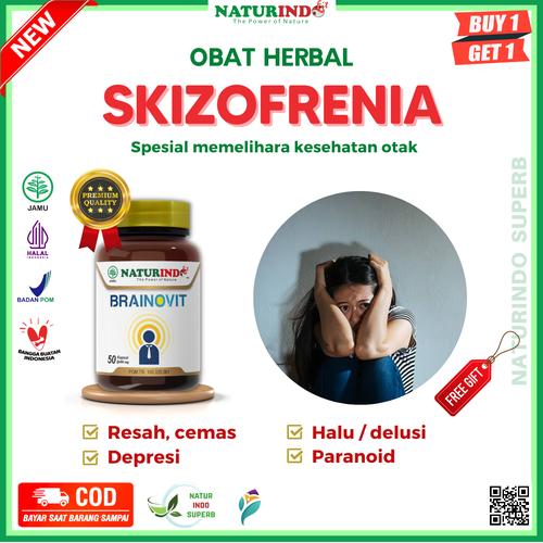 Jual Obat Skizofrenia Anxiety Paranoid Delusi Herbal Penambah ...
