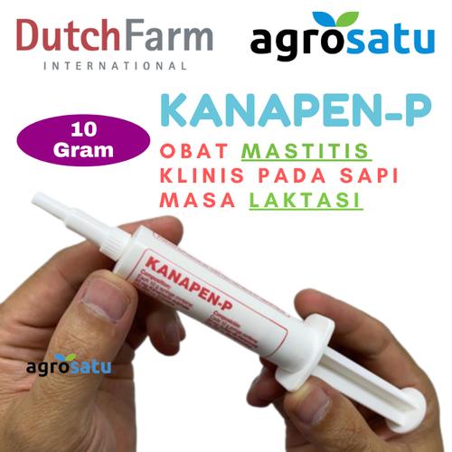 Jual Obat Mastitis Sapi Kambing KANAPEN P Anti Radang Ambing Masa ...