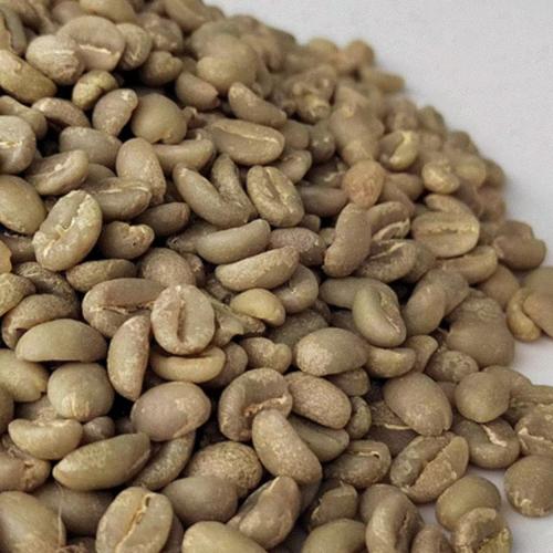 Jual Ethiopia Bench Maji Geisha Washed 2023 Green Beans - Jakarta Barat ...