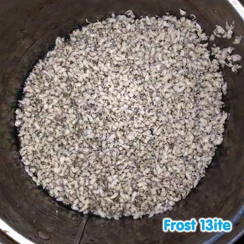 Jual Kupang / Kerang Putih Kupas / Overbite Clam Meat - 250 gram - Kota ...