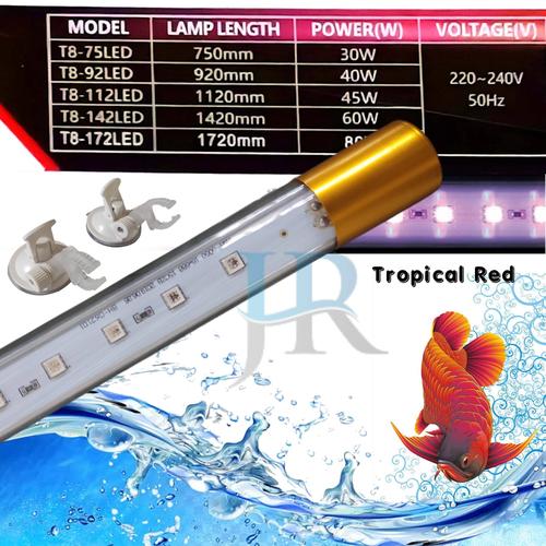 Jual Lampu tanning arwana super red LED high end special aquarium T8 ...