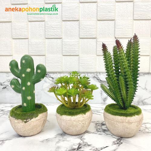 Jual Tanaman Artificial Sukulen Kaktus Latex Pot Batu Lumut Mini ...