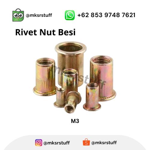 Jual Rivet Nut Besi (20pcs) - M3 - Kota Makassar - mksrstuff | Tokopedia