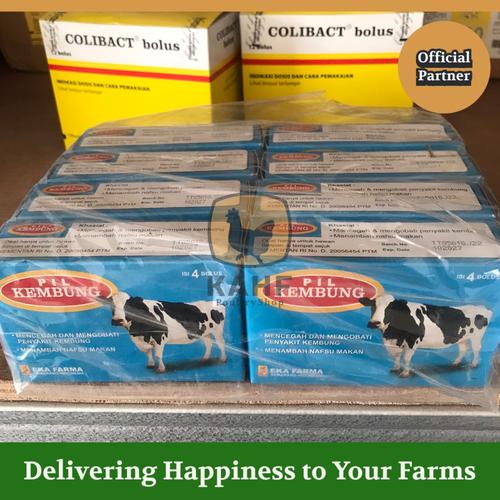Jual Pil Kembung 1 Pack isi 10 Dus 40 Bolus Obat Pencernaan Sapi ...